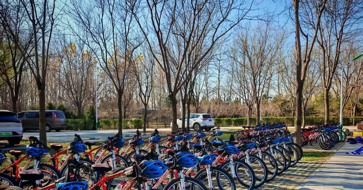 Peking: Geführte Fahrradtour mit Lebensmittelverkostung | GetYourGuide