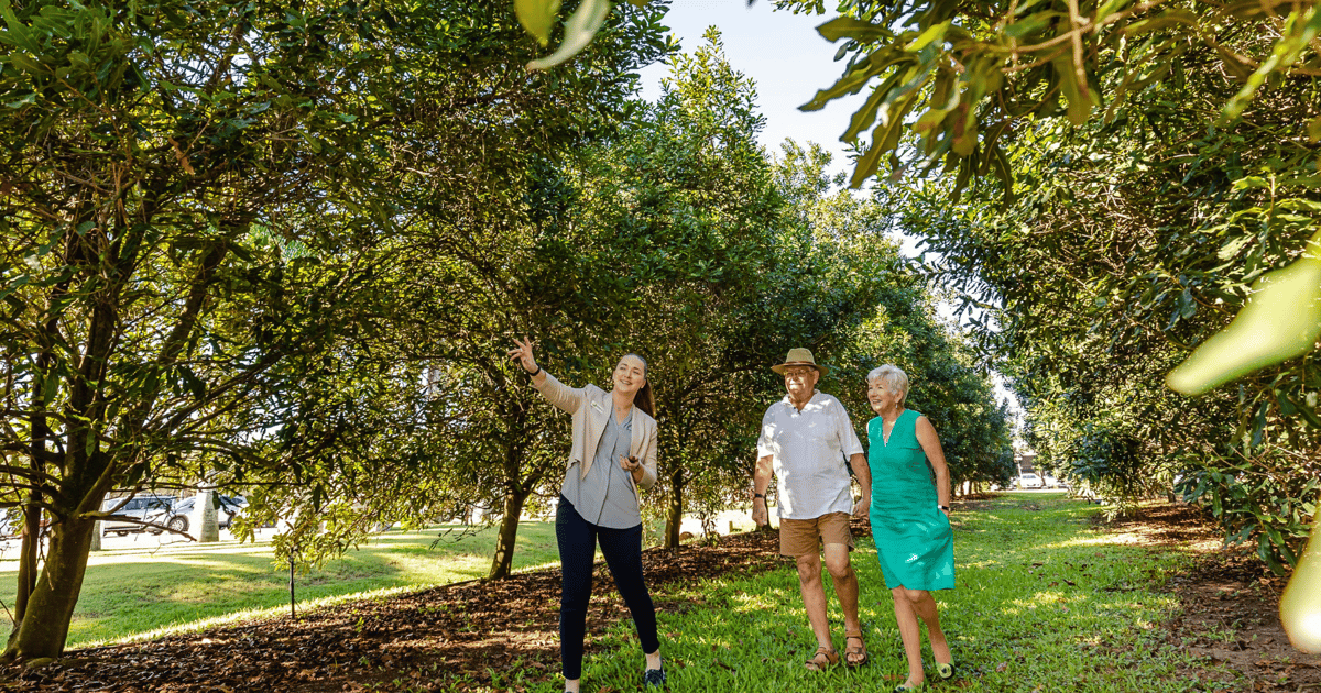 Bundaberg: Macadamia Orchard Tour with Tastings | GetYourGuide