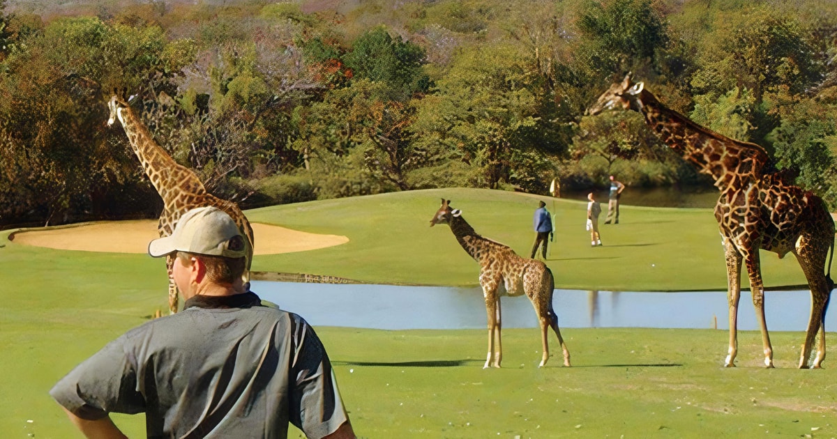 Multi-day Golf & Kruger Park Safari Tour from Johannesburg | GetYourGuide