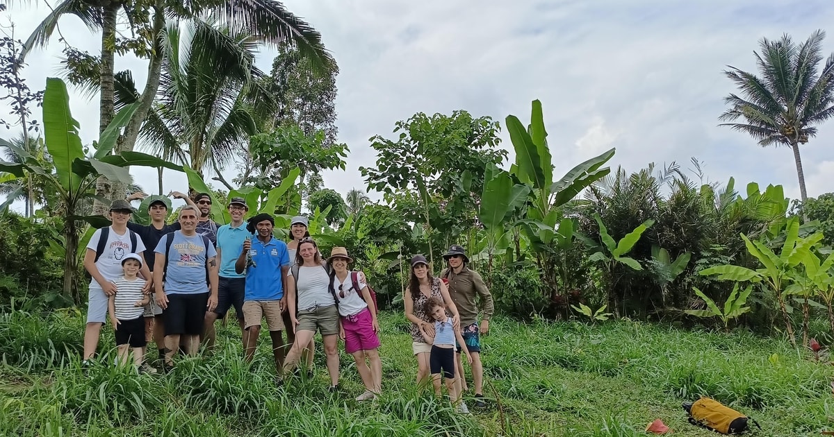 Lombok: Tetebatu Walking Tour with Monkey Forest & Waterfall | GetYourGuide