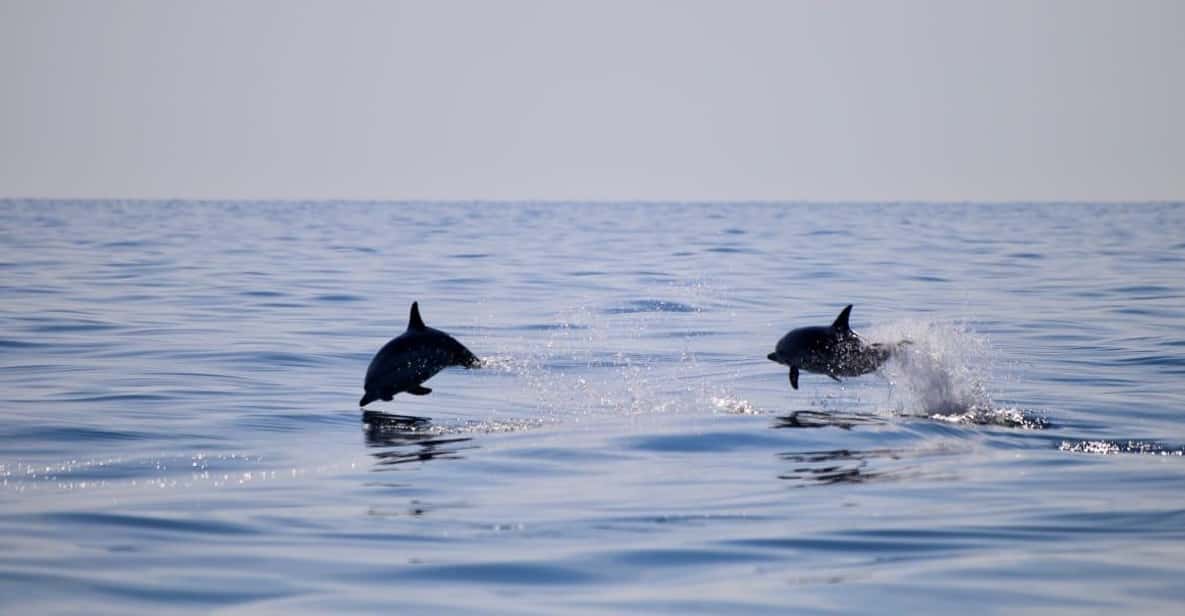 Taormina ranniku ekskursioon ja delfiinide otsimine | GetYourGuide