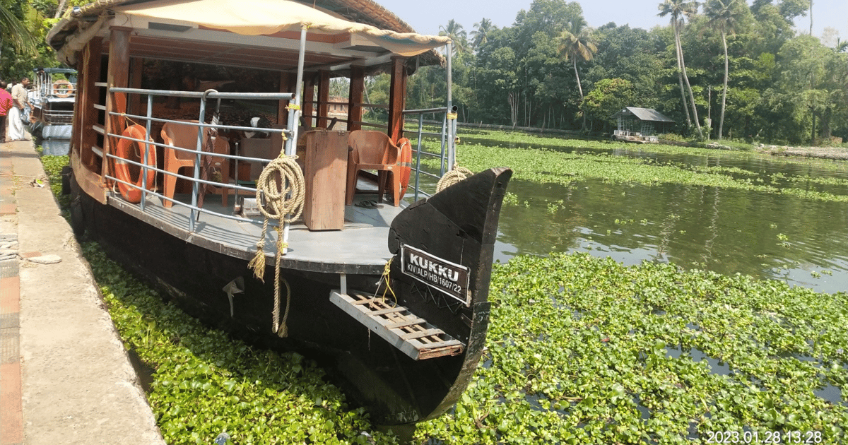 Aleppey- Woonboot-dagtocht op het binnenwater met lunch | GetYourGuide