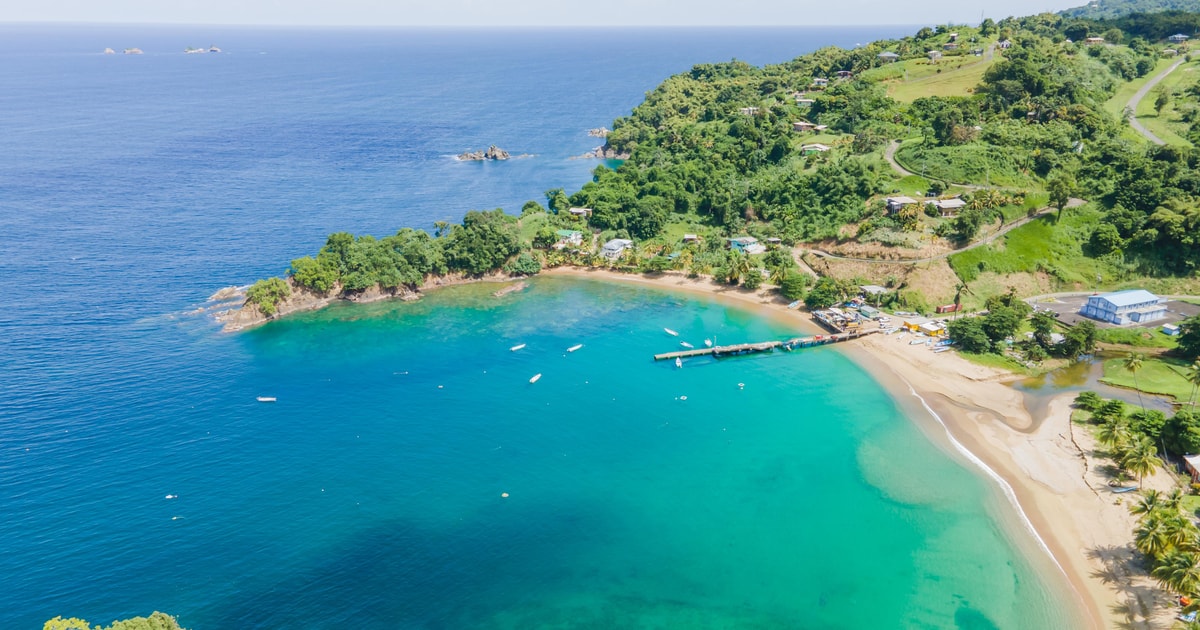 Tobago: Island Tour with Rainforest Drive and Scenic Lookout | GetYourGuide