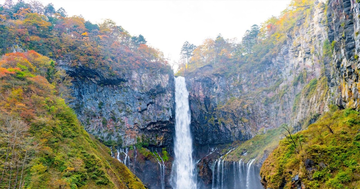 De Tokio a Nikko: excursión privada de un día a Nikko y al lago ...
