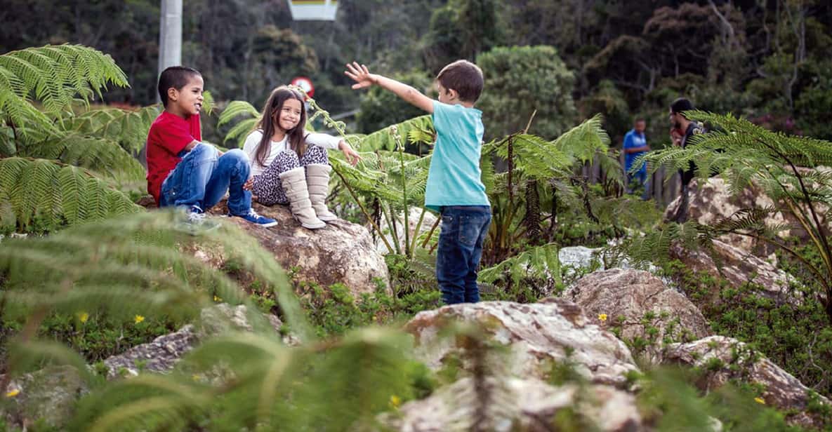 Arvi-Park: Rundgang mit dem Metrocable | GetYourGuide