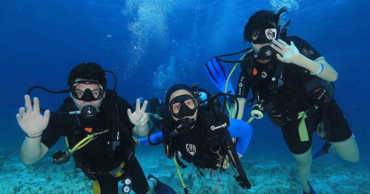 Cozumel: Skibsvrag og revdyk med frokost | GetYourGuide