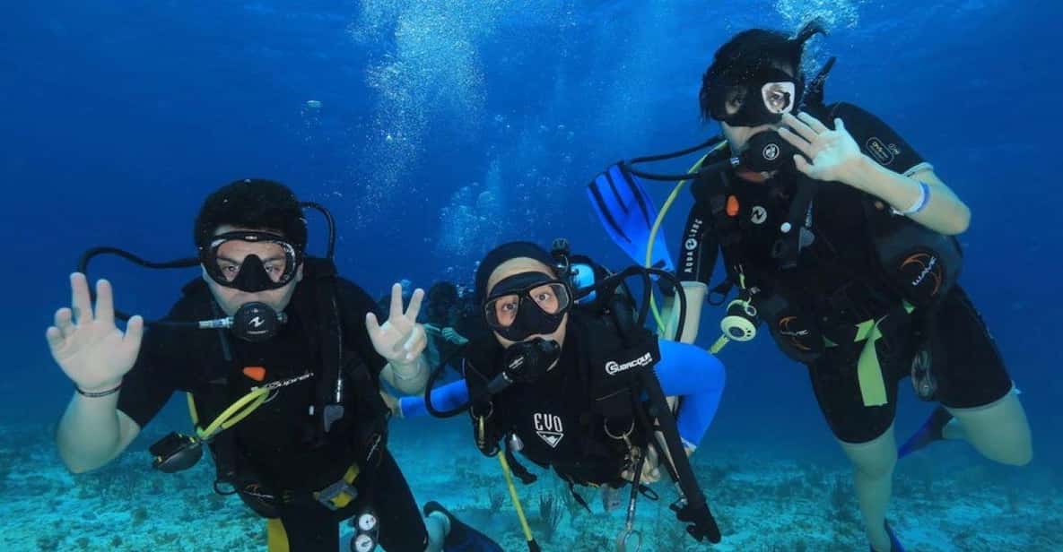 Cancún: Cozumel 2-tanks dykkertur med frokost og transport | GetYourGuide