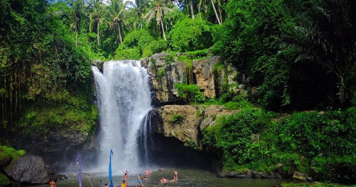Ubud : Rice Terrace, Monkey Forest and Waterfall | GetYourGuide