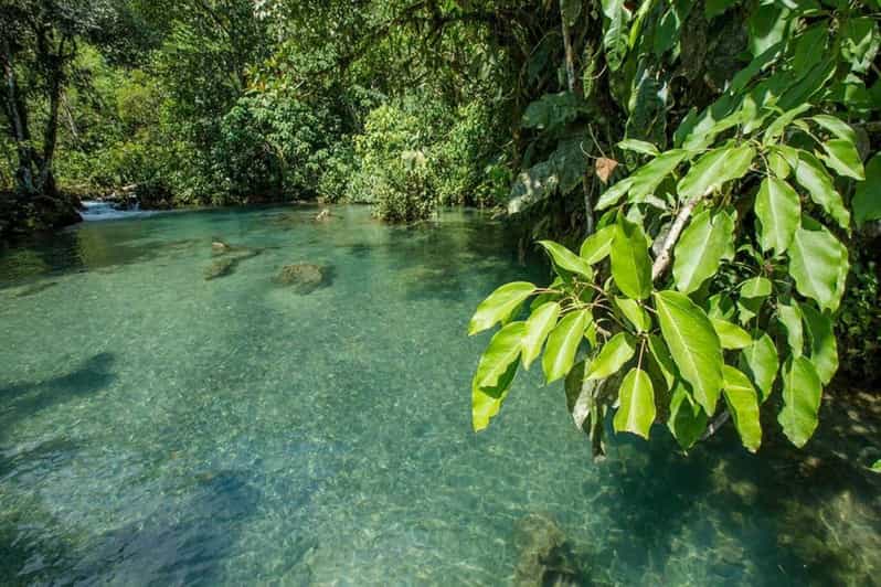 Περιήγηση βιοποικιλότητας Alto Mayo | GetYourGuide