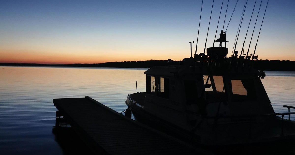 Noorderlicht rondvaart naar het Inari meer, inclusief BBQ | GetYourGuide