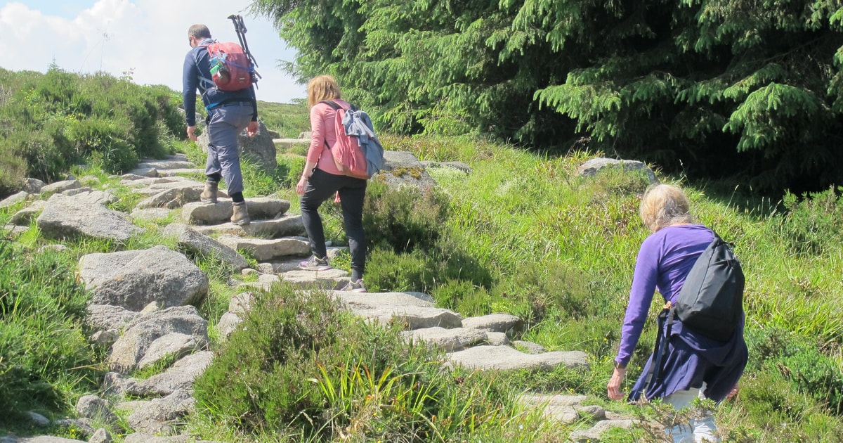 Trails and Tombs of the Dublin Mountains Trek | GetYourGuide