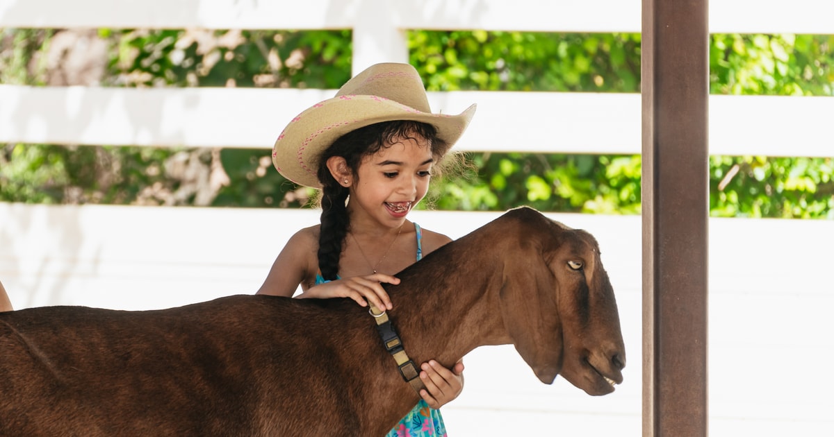 Phoenix Zoo: One Day General Admission Ticket | GetYourGuide