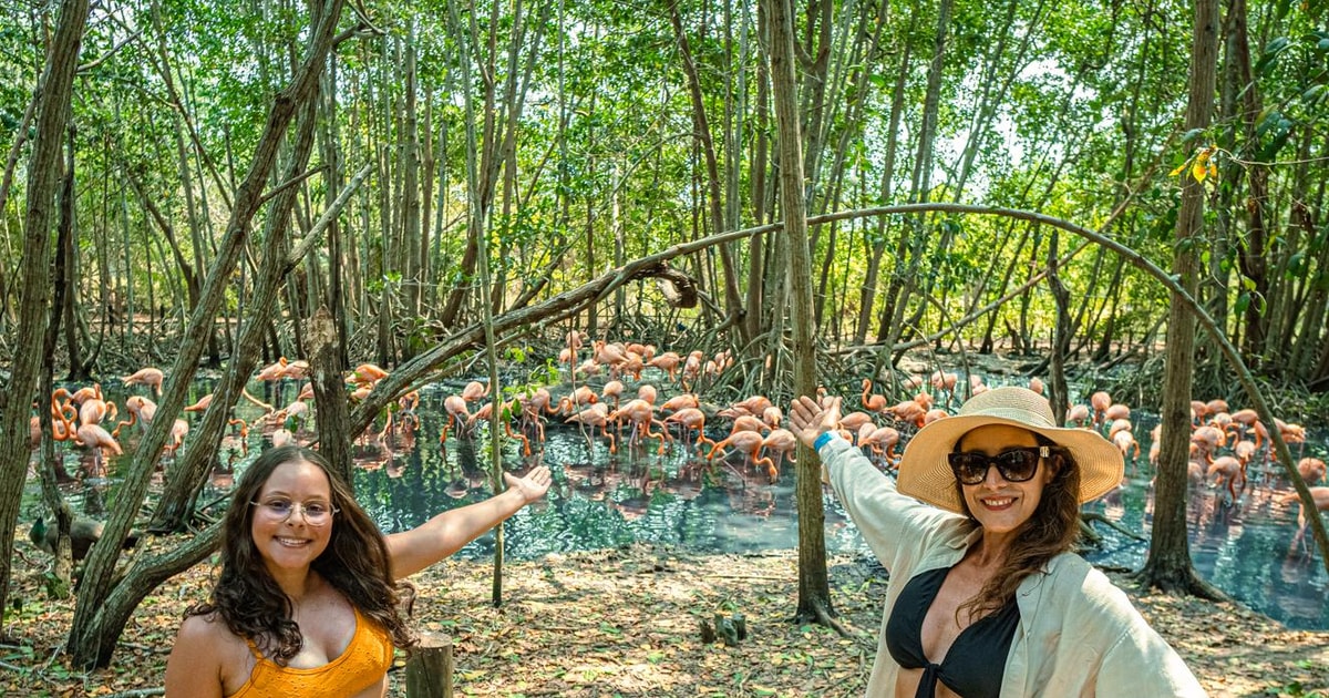 Isla Barú: Beach Club Access and Tour of the National Aviary | GetYourGuide