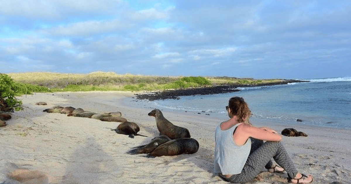 Full Day Leon Dormido and Lobos Island Tour | GetYourGuide