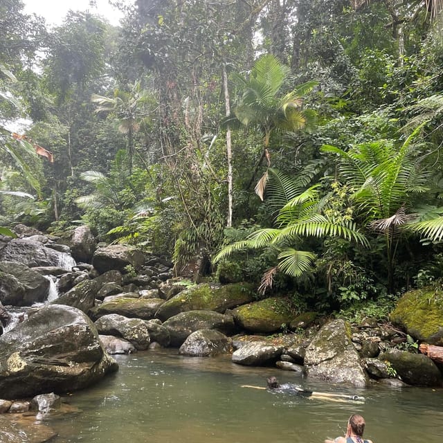 El Yunque: Hidden Off The Path Waterfall Hike w/ Transport | GetYourGuide