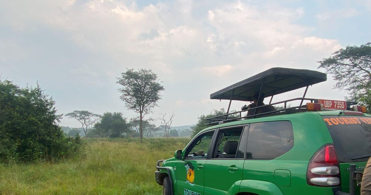 Self Drive 9-Day primates and wildlife Uganda Tour | GetYourGuide