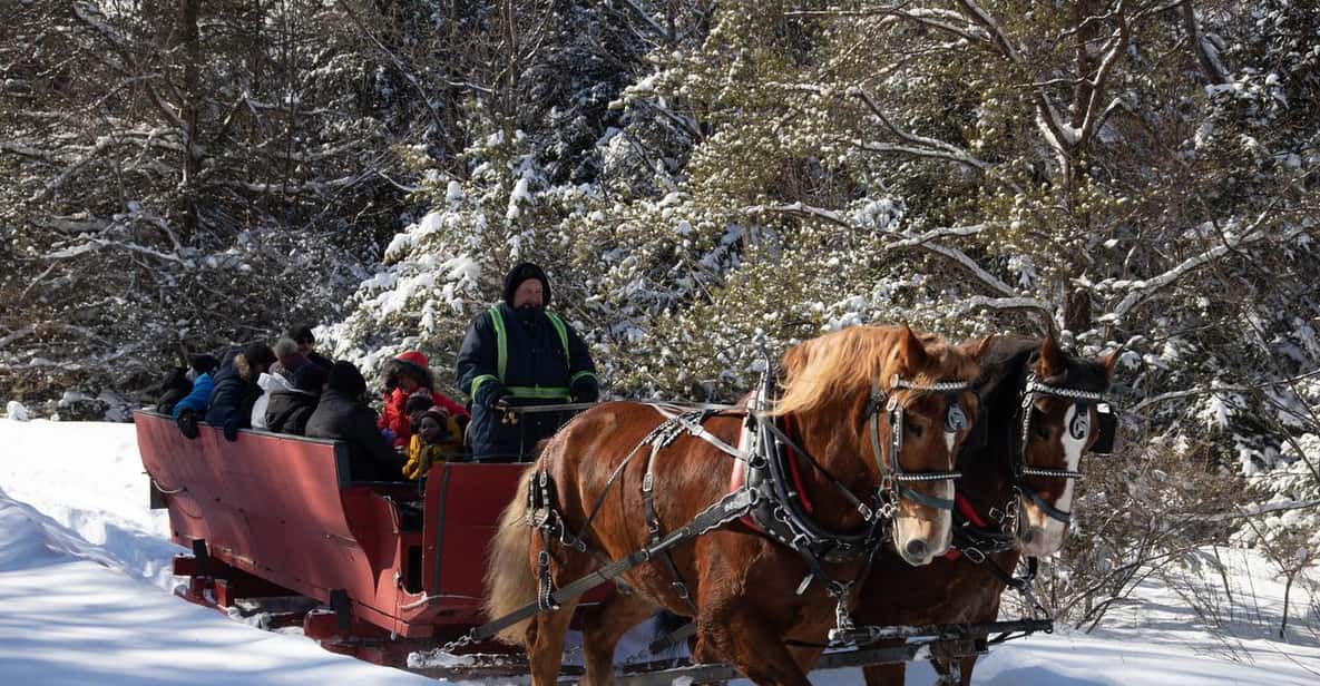Mont-Tremblant: Sleigh Ride w/ Storytelling & Hot Chocolate | GetYourGuide