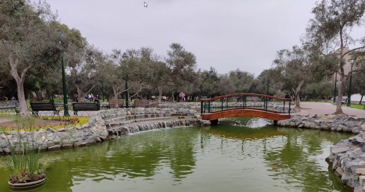 Take an hour stroll around the hidden gems of El Olivar park | GetYourGuide