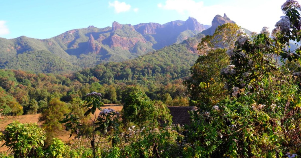 3 Days Bale Mountains Trekking | GetYourGuide