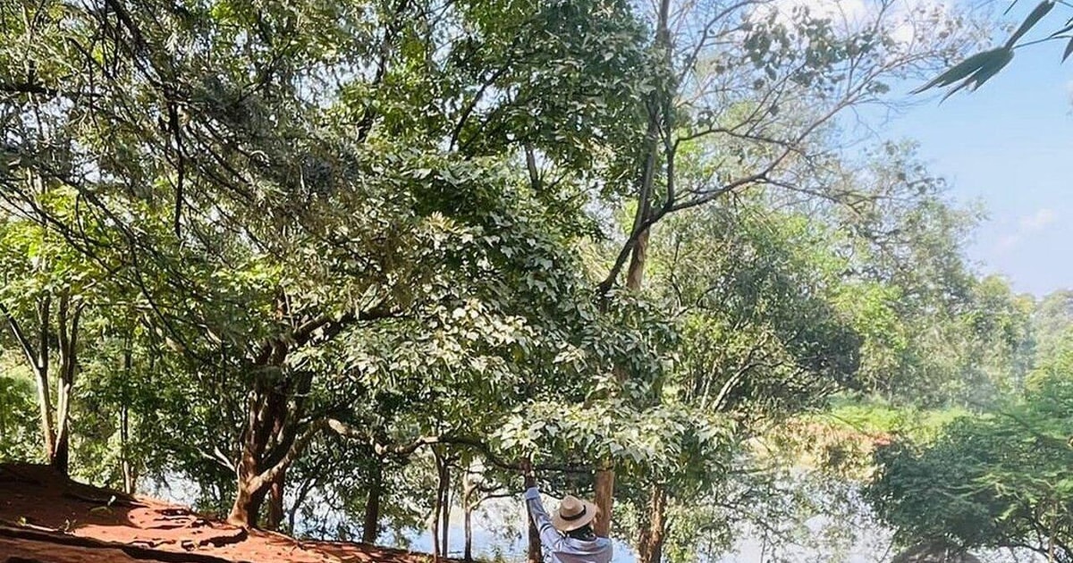 Nairobi: Paradise Lost Waterfall and Caves Guided Tour | GetYourGuide