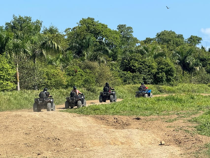 Puerto Rico: Hacienda Campo Rico ATV Experience with Pickup | GetYourGuide
