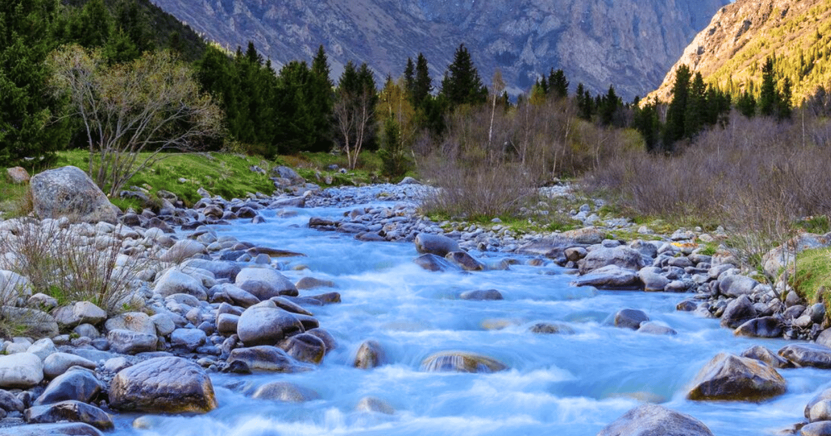 From Bishkek: Ala Archa National Park Guided Tour & Picnic | GetYourGuide