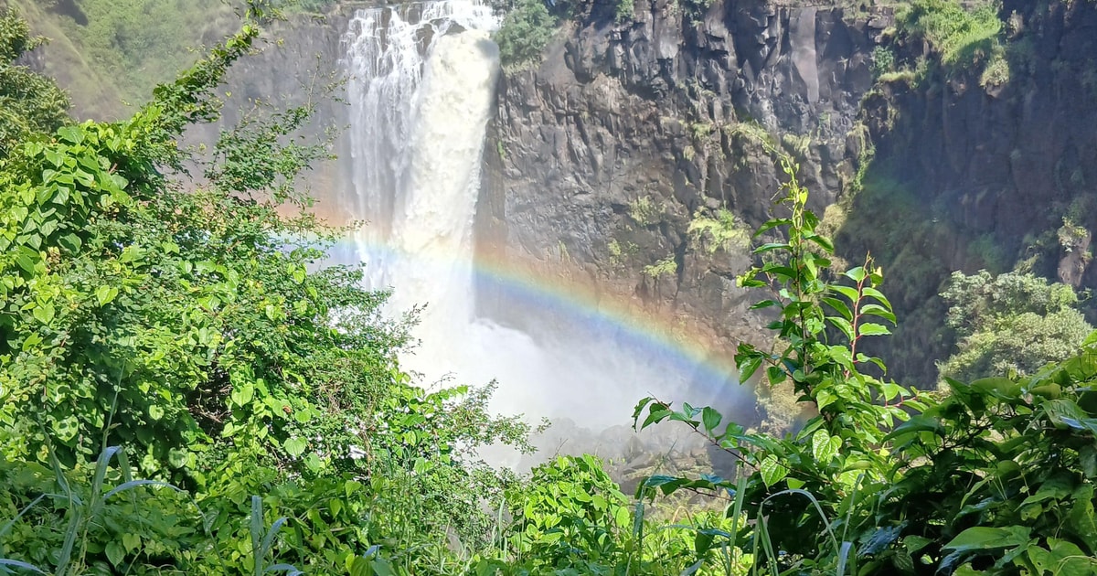Victoria Falls: Private Guided Tour with Abseiling & Lunch | GetYourGuide