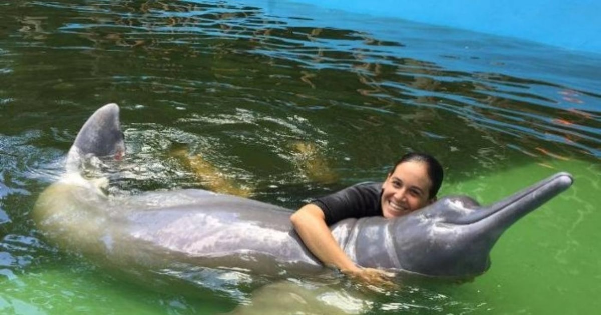 Cancún Amazonico Quistococha Iquitos Peru | GetYourGuide