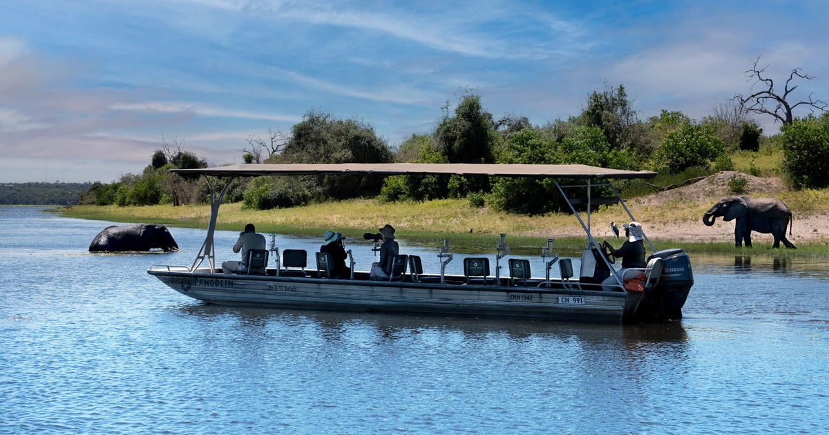 Victoriafälle/Kasane: Tagestour im Chobe-Nationalpark | GetYourGuide