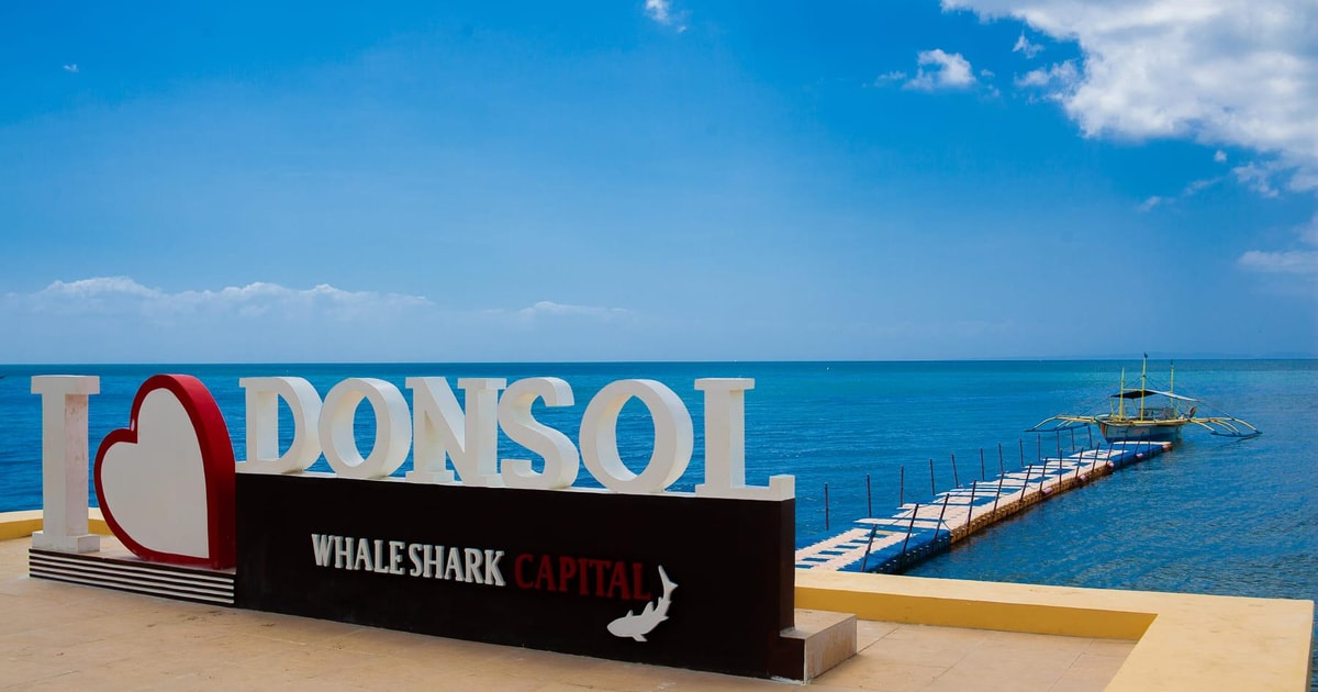 Whale Shark Interaction at Donsol Sorsogon by ZCHEDULISTA | GetYourGuide