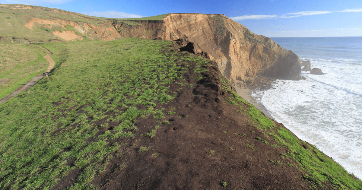 Point Reyes National Seashore Self Guided Driving Tour | GetYourGuide