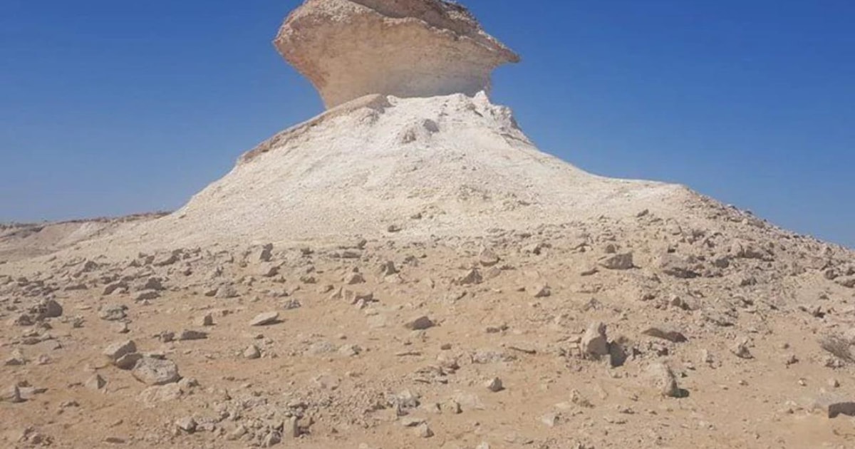 West Qatar-Doha Richard sierra,camel race,mushroom rock | GetYourGuide