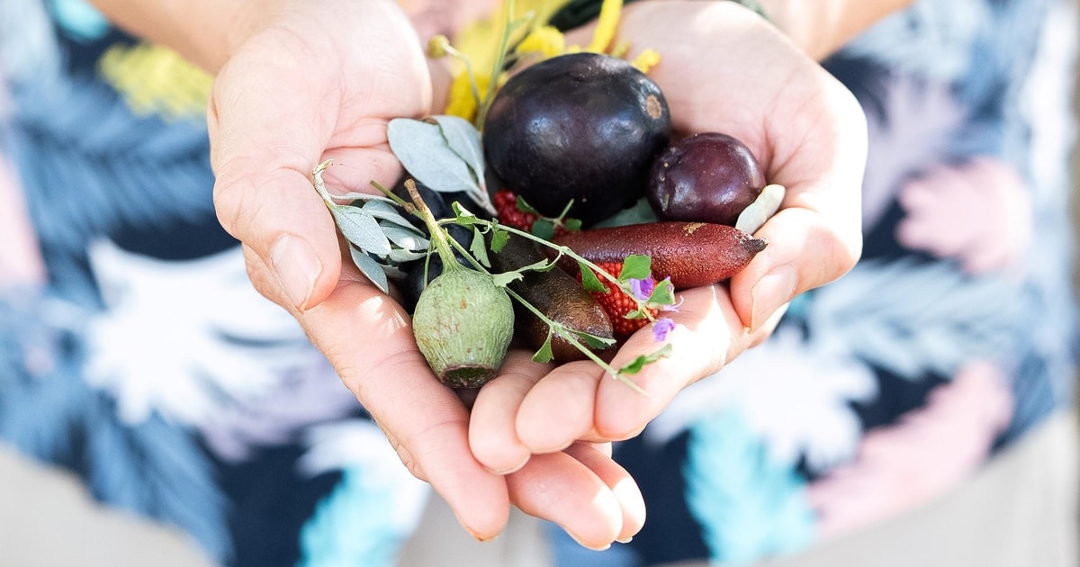 Australian Ploughman: All-Inclusive Lunch & Native Walk | GetYourGuide