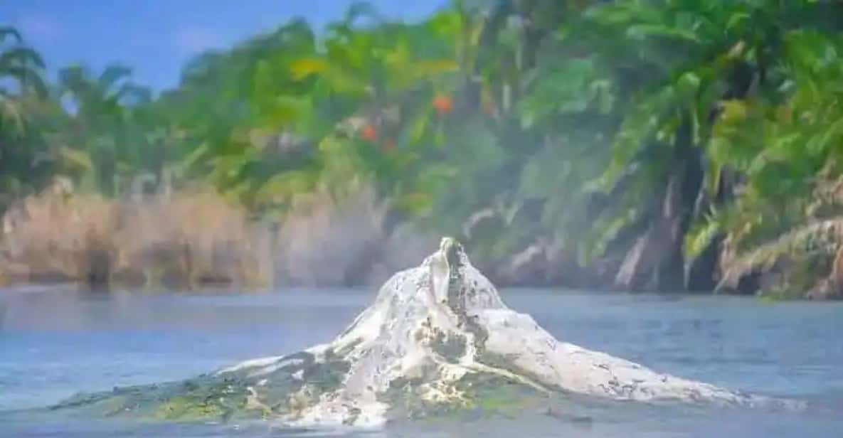 Fort Portal: Semliki National Park, Amabere Caves & Crater … | GetYourGuide