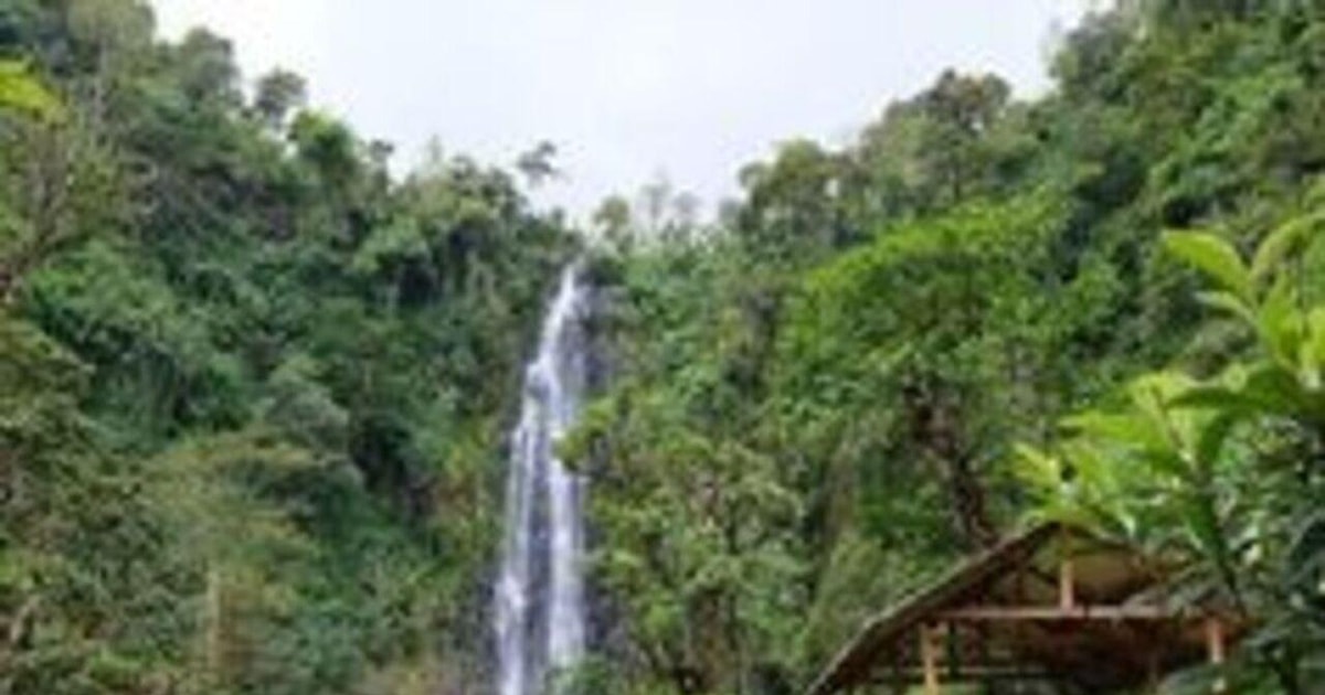 Arusha: Materuni Waterfalls, Coffee Tour, and Hot Springs | GetYourGuide