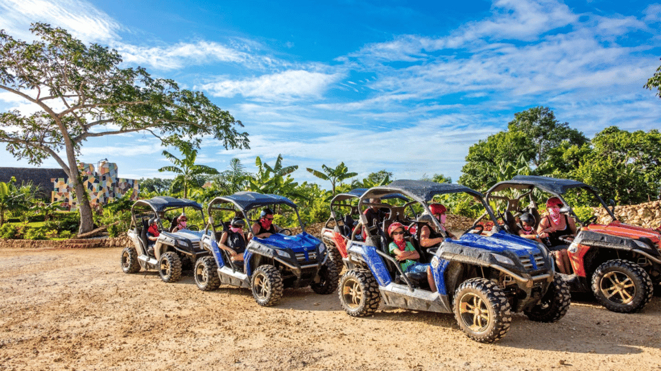Punta Cana: Excursiones En Buggy Increíble Cenote Macao | GetYourGuide
