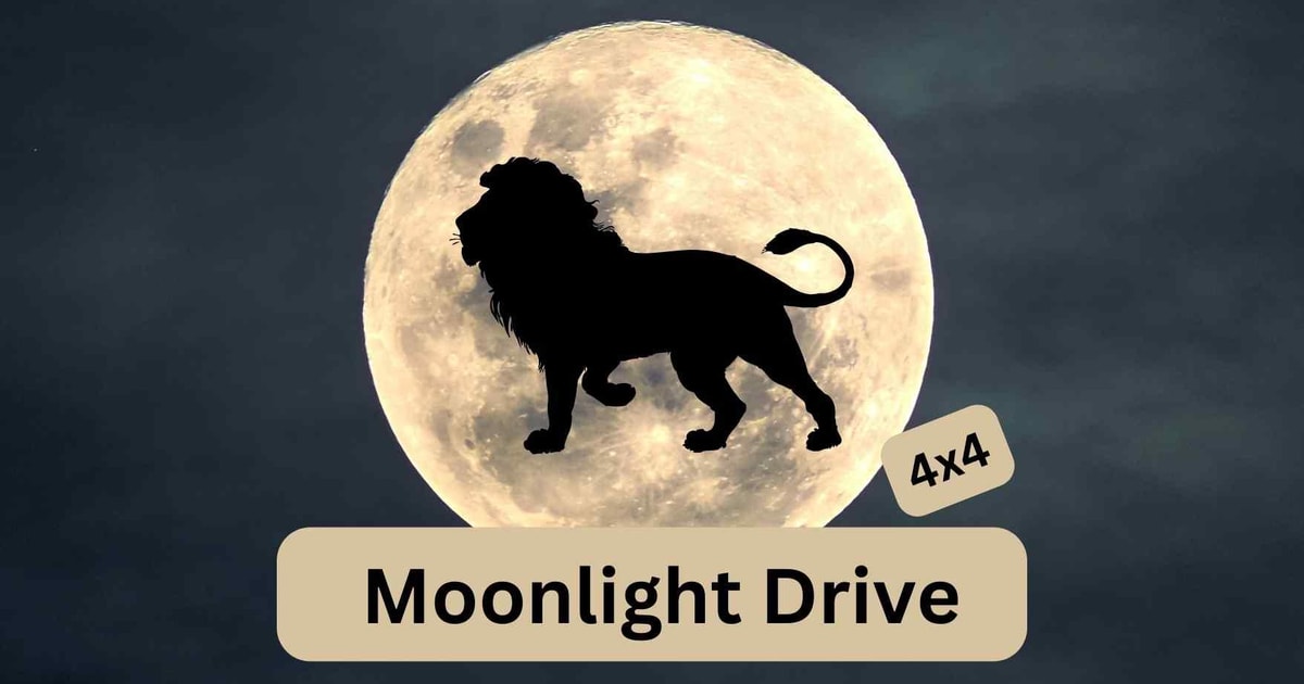 Victoria Falls: Moonlight Drive 4x4 | GetYourGuide