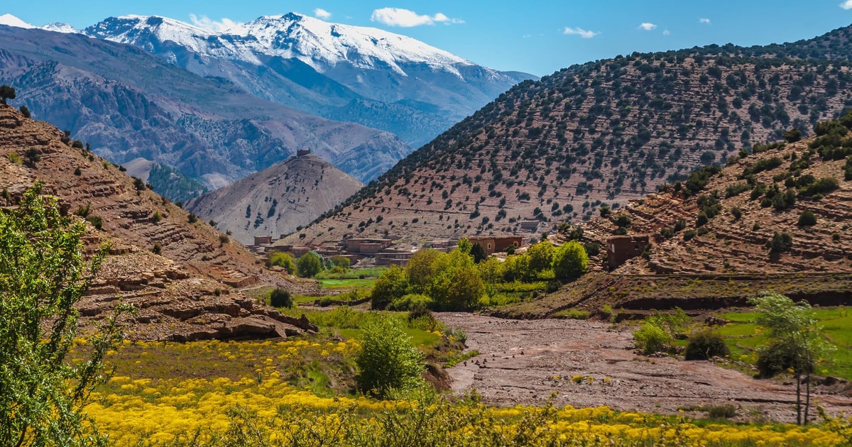 Desde Marrakech: Excursión de un día a las montañas del Atlas con paseo ...