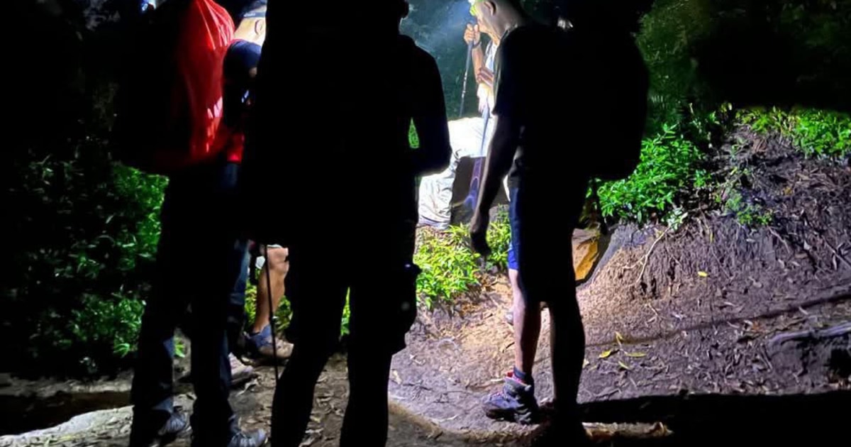 Bali: Mount Lesung Jungle Trek, and Tamblingan Lake Tour | GetYourGuide