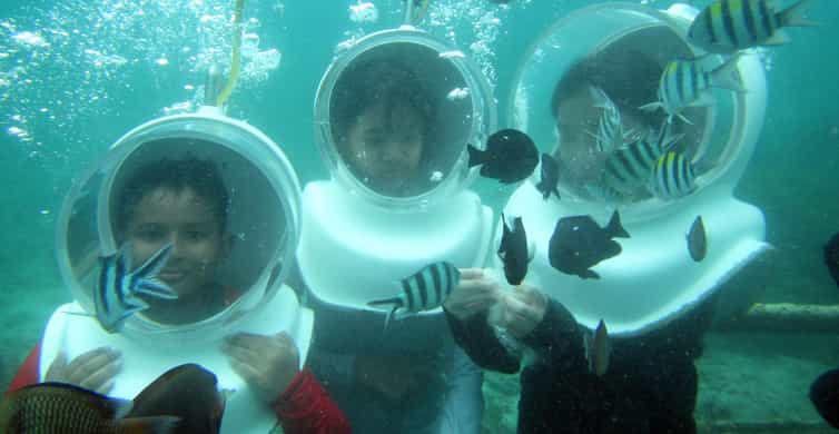 Bali: Fish Sighseeing and Feeding Under Water Experience | GetYourGuide