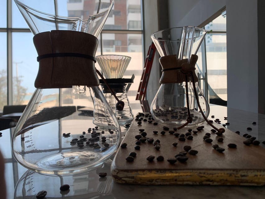 Cata de café | GetYourGuide