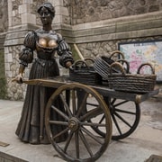 Book of Kells, Dublin Castle, Christ Church Cathedral Tour | GetYourGuide