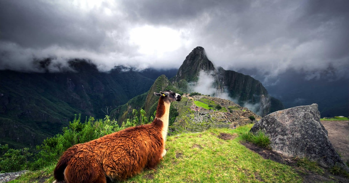 Official Ticket to Machu Picchu | GetYourGuide