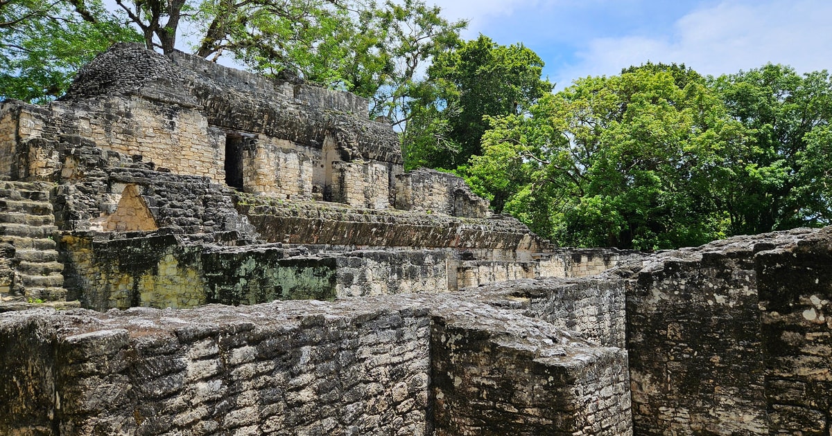 Van Flores: Tikal ervaring, exclusieve tour | GetYourGuide