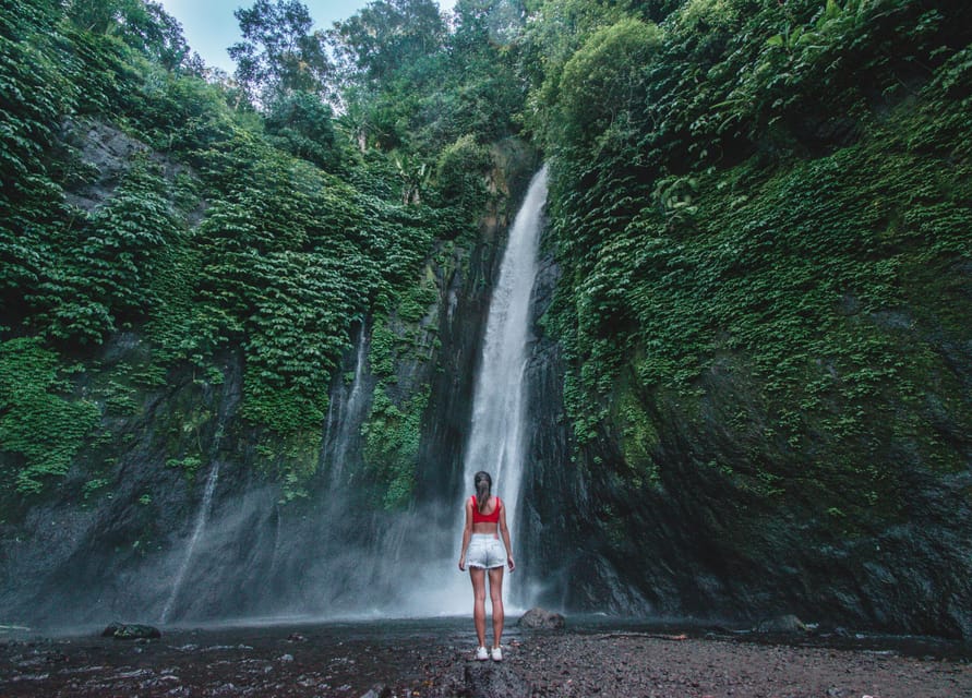 North Bali : Highlights of Bali Hidden Waterfall | GetYourGuide