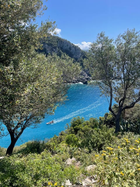 219 Top Activities in Corfu (2025) with Reviews