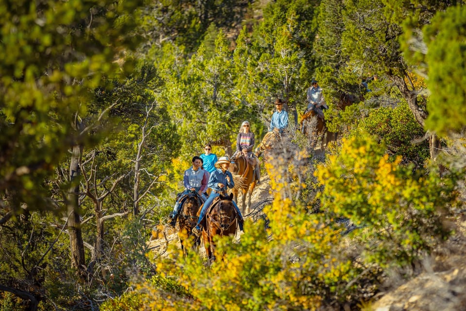 Orderville: Checkerboard Mesa Guided Sunset Horseback Ride | GetYourGuide