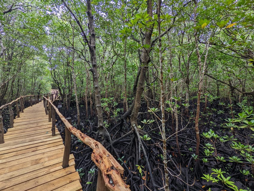 Nationalpark and Spice plantation: Explorer flora and fauna | GetYourGuide