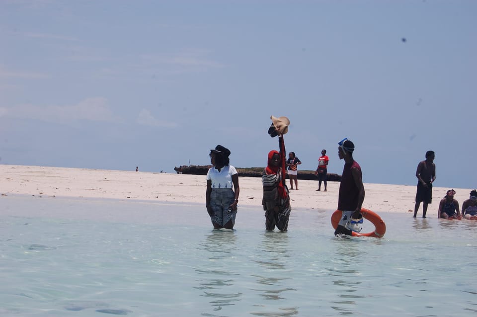 Wasini Dolphin 🐬 Tour from Diani Beach / Mombasa | GetYourGuide