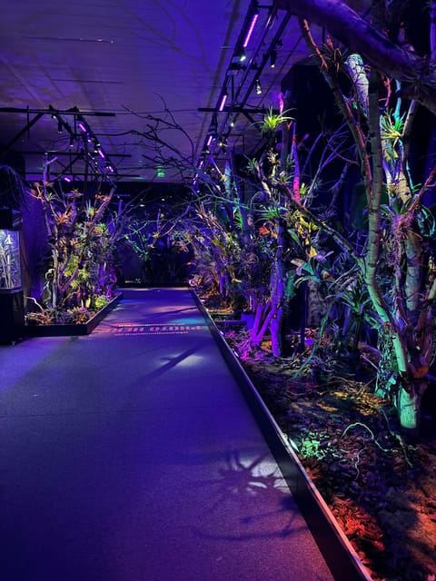 Reptiland Bucharest Entry Ticket | GetYourGuide